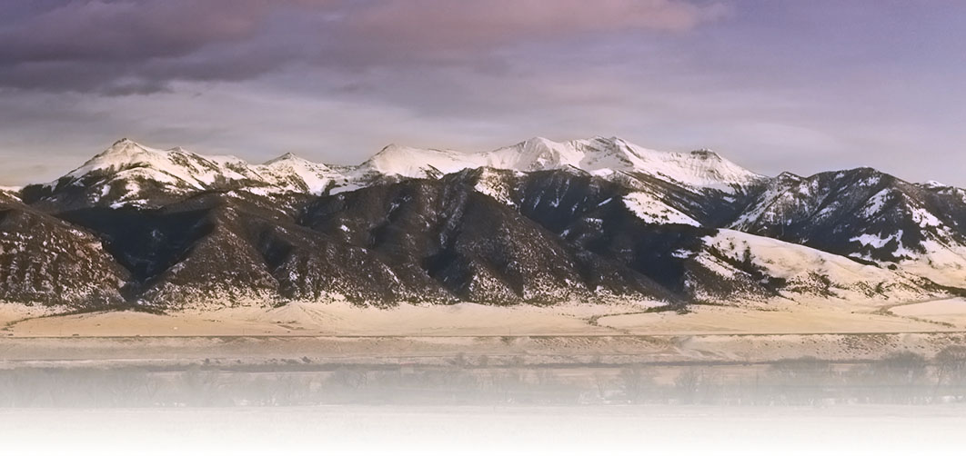 Company .. Conveyabull